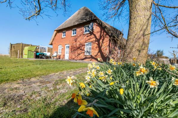 Hus Tingeltut Gerd Clausen - Pellworm