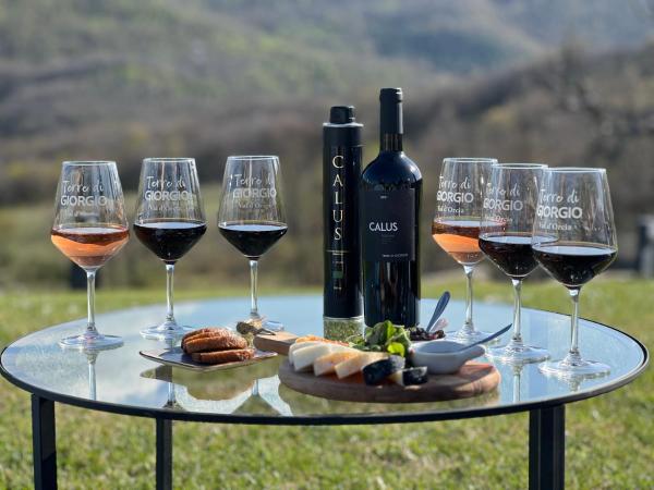 Terre Di Giorgio Agriturismo Villa La Palazzetta - Montalcino
