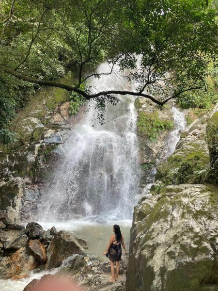 Bosque Azul - Minca