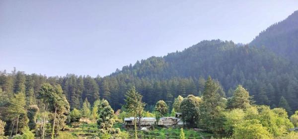The Hilltop Kasol - Mandi