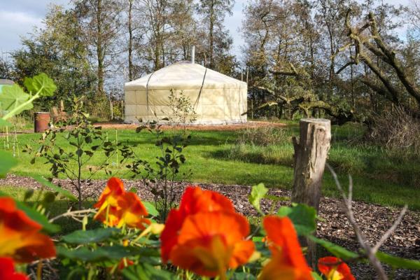 Yurt Klyndobbe - Friesland