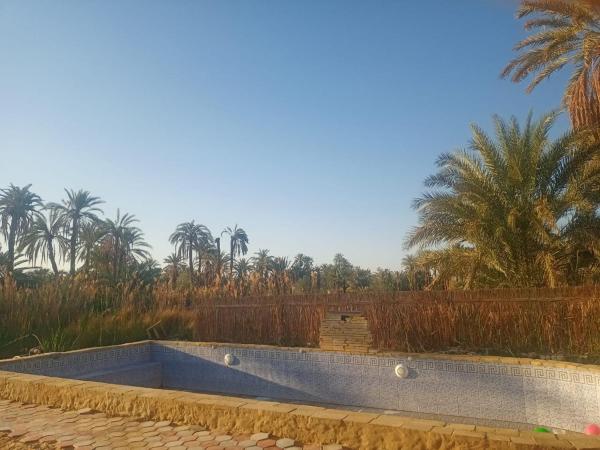 Noor House - Égypte