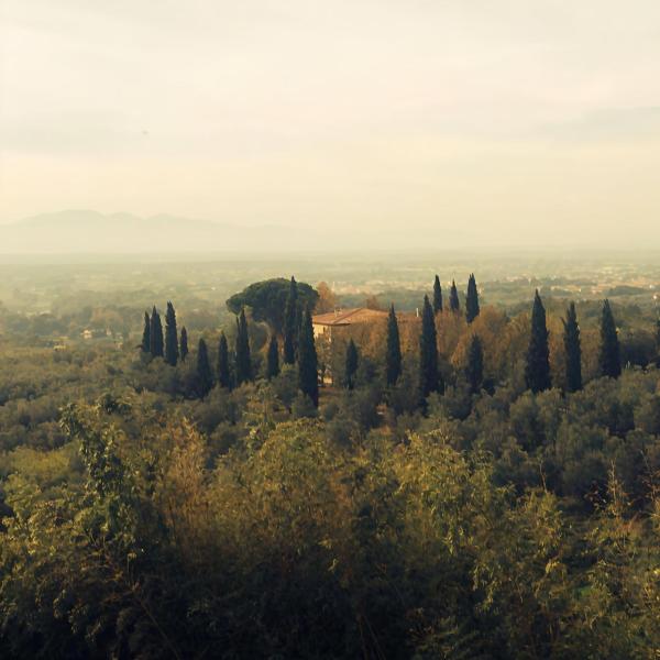 Agriturismo Cocò - 피스토야