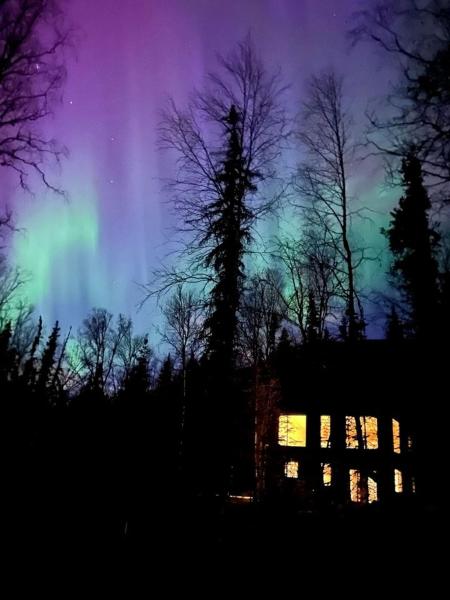 Embrace Nature In This Secluded Cabin In Anchorage, Alaska - Anchorage, AK