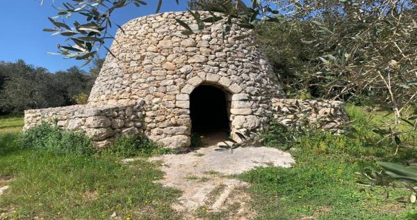 Odegos Affittacamere Maliconca - Torre dell'Orso