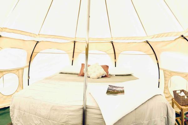 Riverfront Yurt Glamping No Fees 14 - Buena Vista, CO
