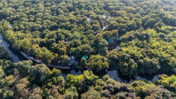Brook Ville - Sasan Gir