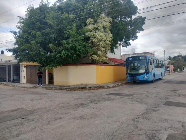 Hermosa Residencia Tres Recamaras Independientes Con Siete Camas Matrimoniales Hamacas Piscina Bar Terrazas áRboles Excelente Ubicación Totalmente Bardeada - Yucatán