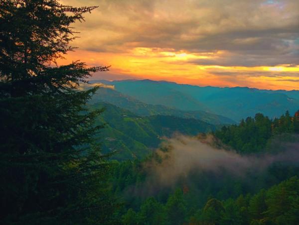 Sunrise Homestay - Kufri