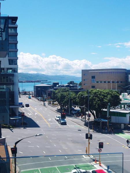 3-bedroom Cbd Elevate Apartment - Wellington