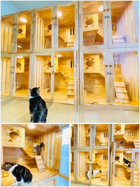 Cat Hotel Hatyai By Krissana Mansion Cat Only - 泰國