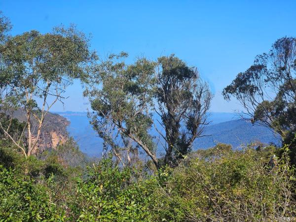 Merveille - Wonder - Wentworth Falls