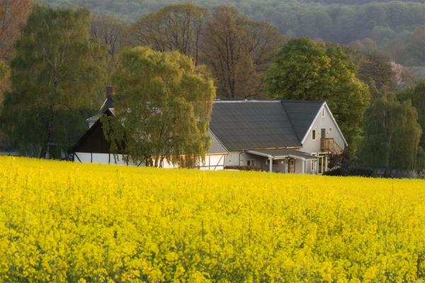 Allé På ÖSterlen - Simrishamn