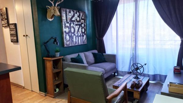 Espectacular Vista Con Aire Acondicionado Y Paking Gratis - Santiago