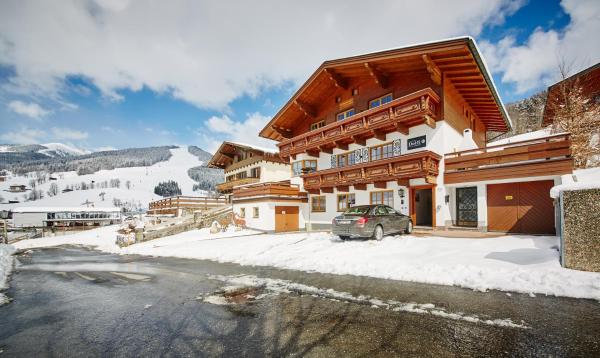 Delfi Ski & Bike Apartments - Saalbach-Hinterglemm