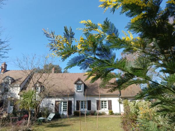 Le Jardin De La Pichonnerie Chambres D'hôtes - Saint-Aignan-sur-Cher