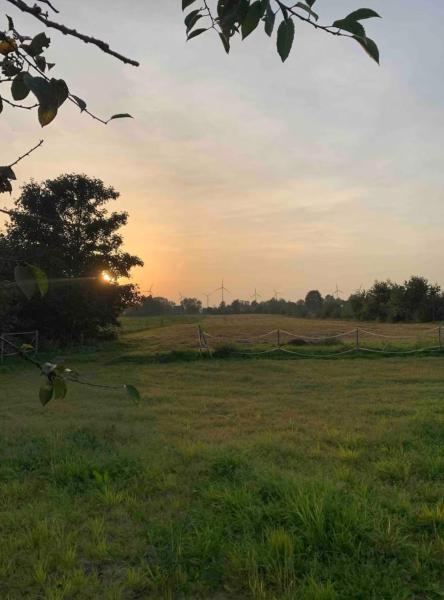 Buntes Friesenhaus - Ihlow