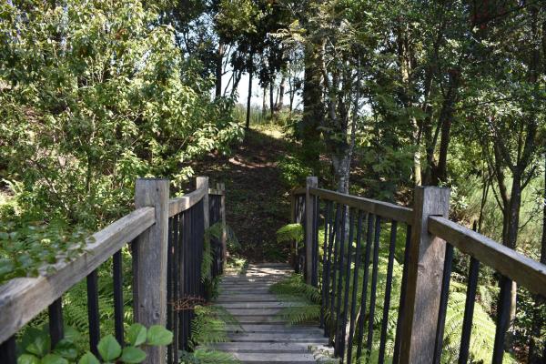 Cabañas Alto Volcanes - Puerto Montt