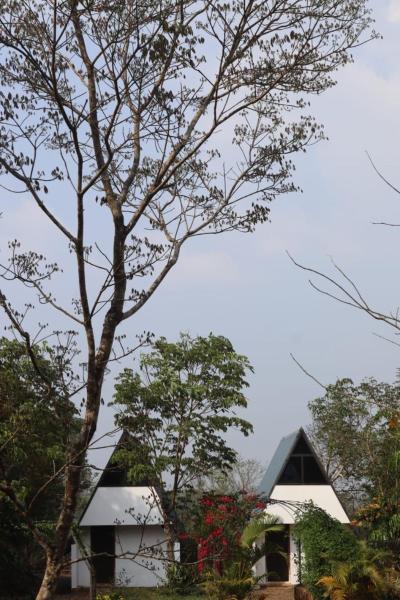Sky Meadows Wayanad - Kerala