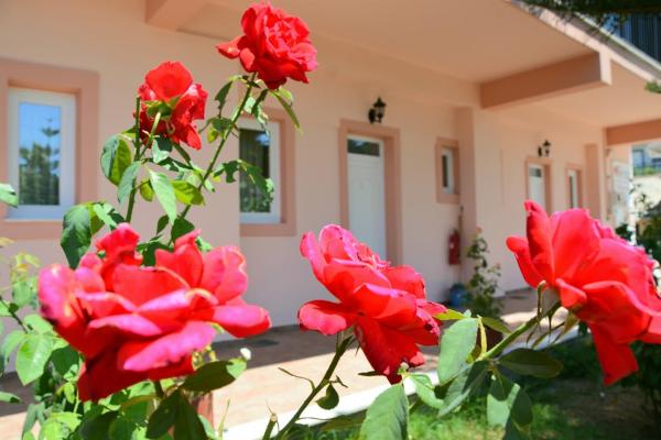 Red Rose Garden - Zante