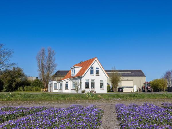 Bollenzicht - Texel