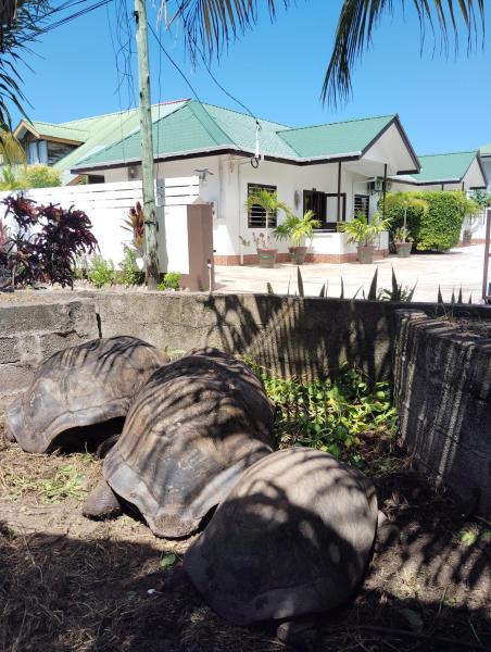 Roche Kerlan Apartments - Seychelles