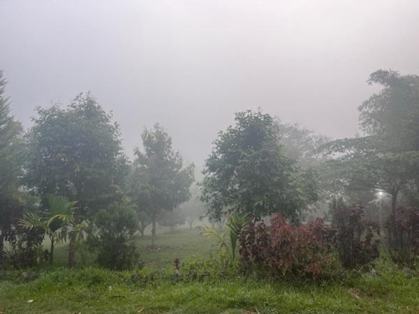 Hasiruvana Homestay - Sakleshpura
