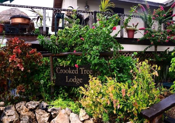 Crooкed Tree Lodge Belize - Belize