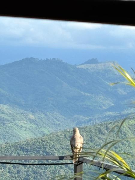 Ukiyo Cabin - Nimaima