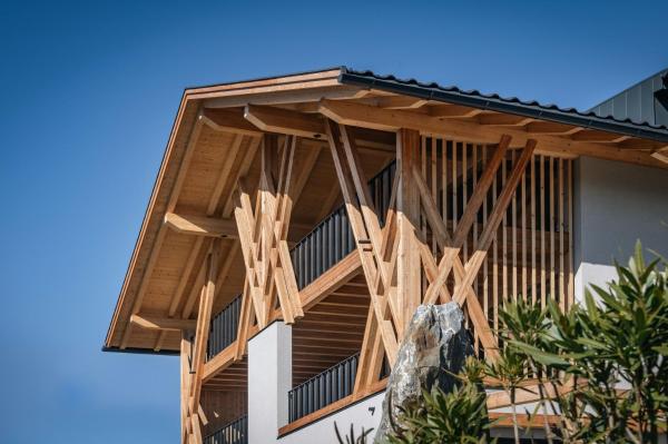 Steindlgut - Weinberg Chalets - Brixen