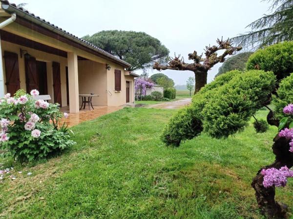 Les Mimosas - Gaillac