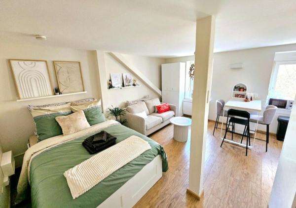 Studio Tout Confort Proche Gare Et Centre-ville - Gare de Strasbourg Ville