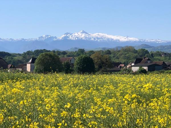 Maison Rose - Navarrenx