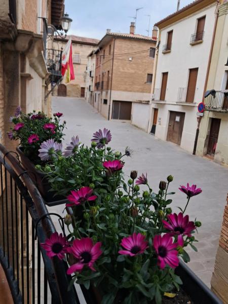 Albergue Casa Arqueña Sólo Peregrinos Con Credenciales - Navarra