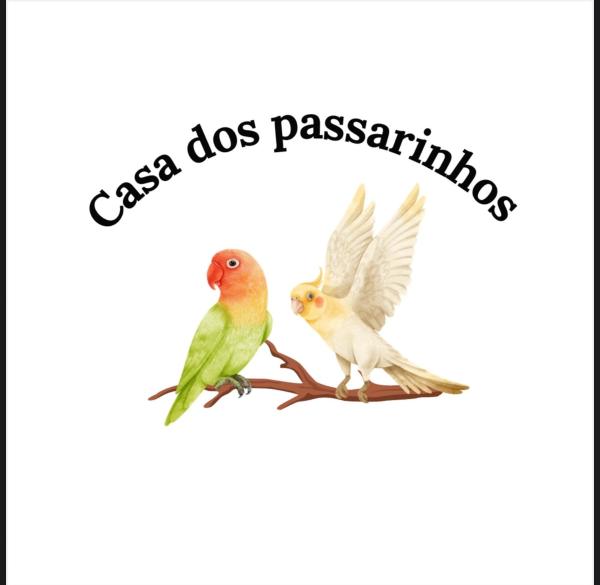 Casa Dos Passarinho´s , Lagos - Lagos