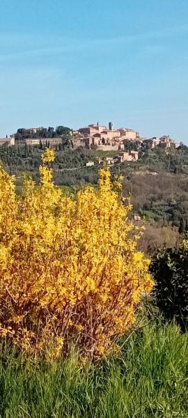 Appartamento Panoramico - Montepulciano