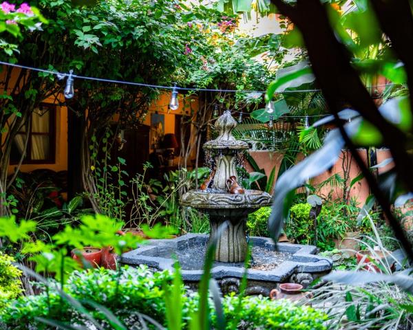 Hostal Fuente Castalia, B Y B - 尼加拉瓜