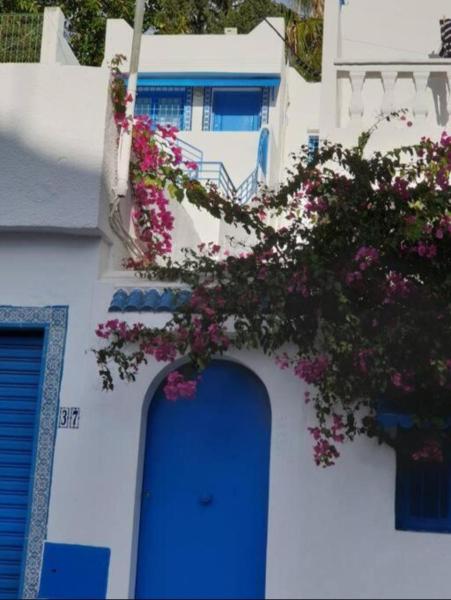 Hammamet Studio Hafsya - Hammamet
