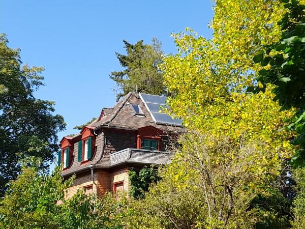 Ferienwohnung Unterm Tulpenbaum - Badenweiler