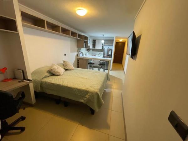 Acogedor Alojamiento, Como Nuevo - Providencia