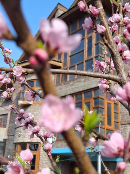 Outsaw Cottage - Srinagar