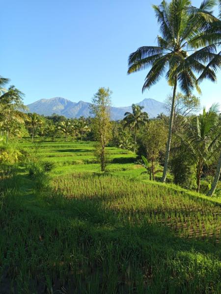 Are Twin Bungalows - West Nusa Tenggara