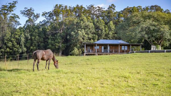 The Hitching Rail Hut - Romantic, Rural, Horses - Emerald Beach
