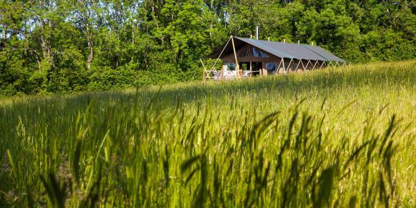 Brocklands Farm Glamping - ハンプシャー
