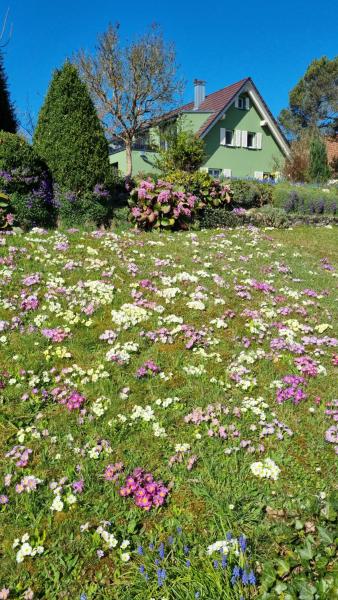 Gadenhaus-für Ferien&business Am Bodensee - Singen