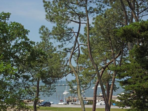Appartement 2 Chambres Bassin D'arcachon Front De Mer, Plage Du Betey - Andernos-les-Bains