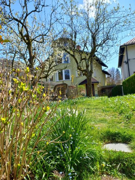 Apartma Aljaž - Idrija