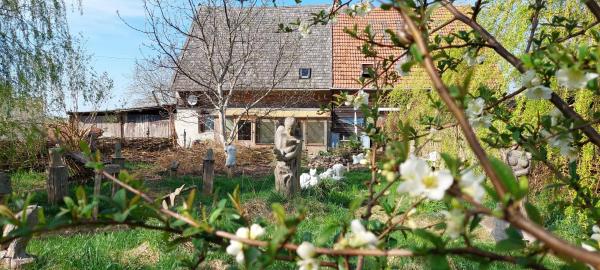 Kunstwerk Usedom & Fahrradherberge - Ueckermünde