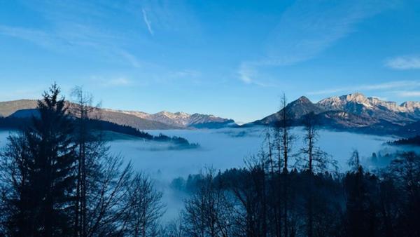 Ferienwohnung Bergsucht - Schönau am Königssee