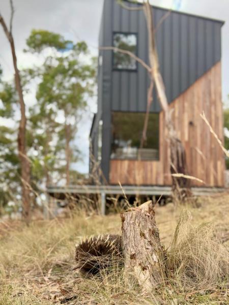 Richmond Wildlife Haven - Hobart